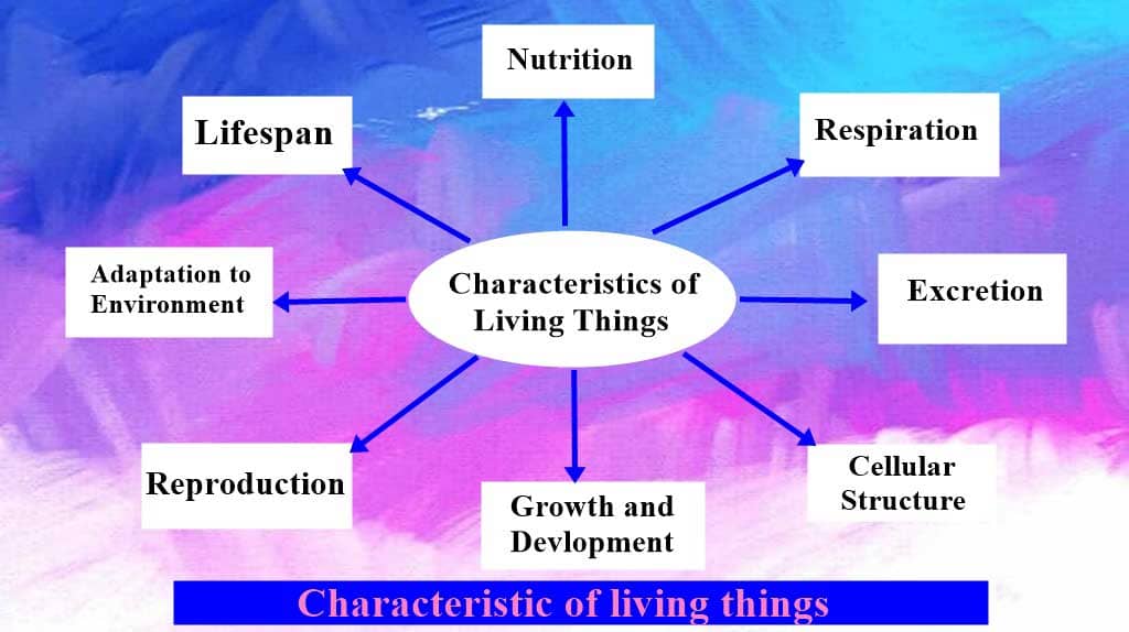 Life Science Quiz for Living Things That Excited Now